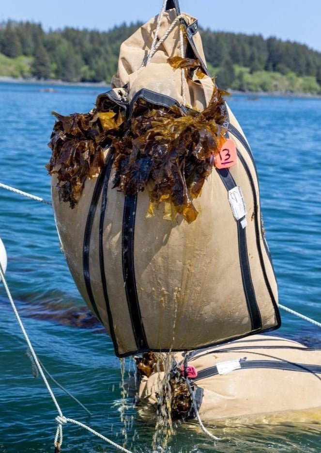 Brailer Bags - NOMAR