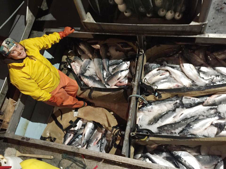 Brailer Bags - NOMAR